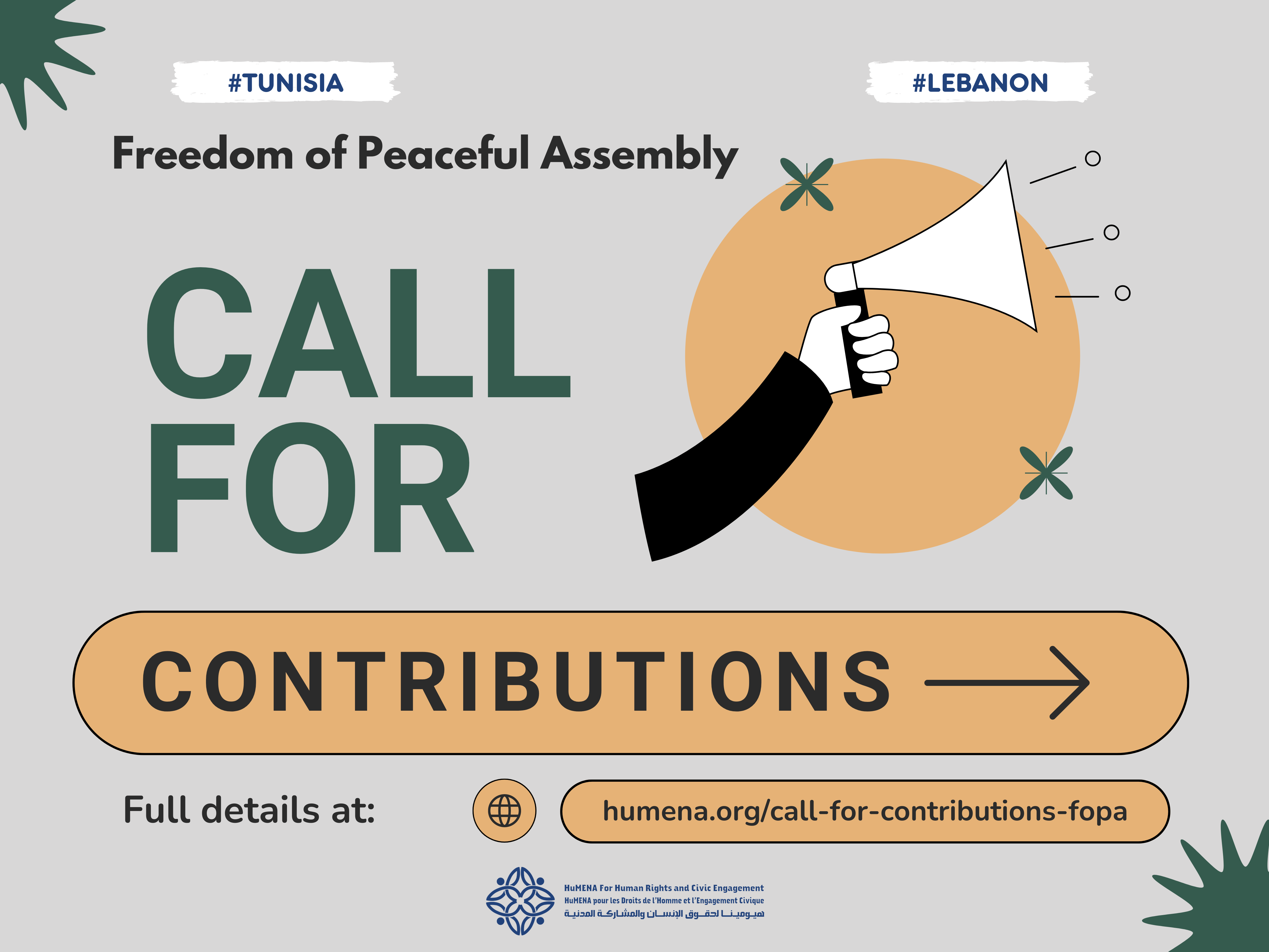 Call for Contributions: Understanding the Right to Freedom of Peaceful ...