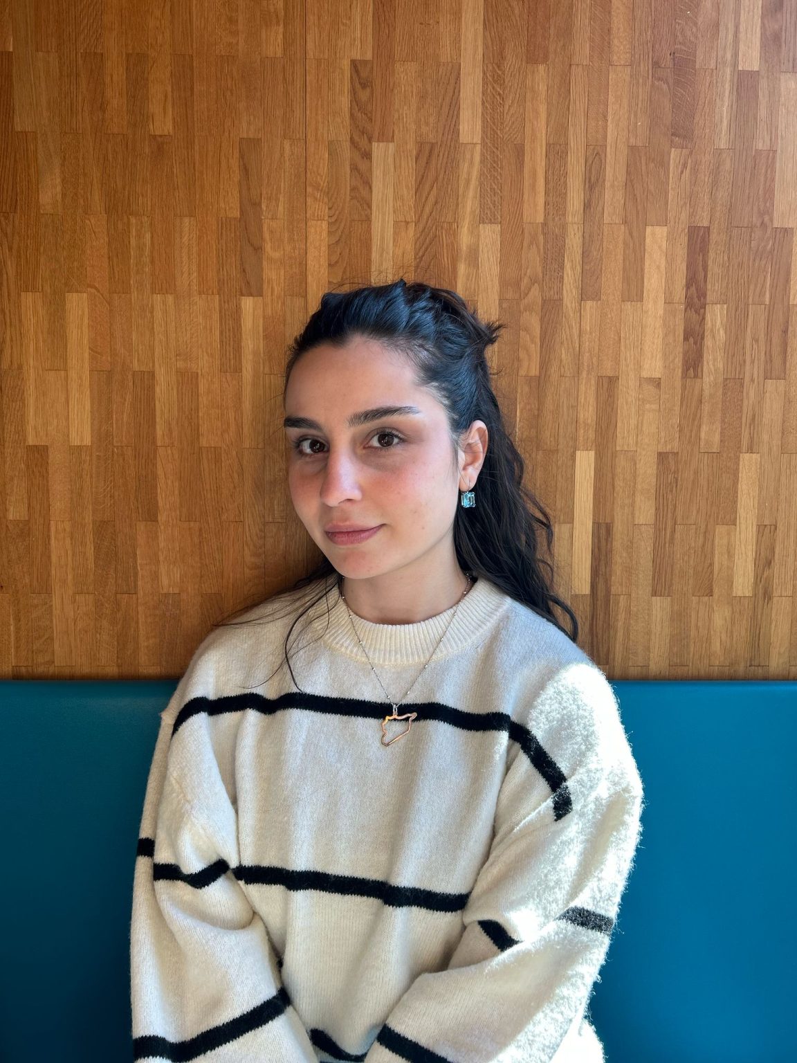 At a Crossroads: Civil Society in Post-Assad Syria and the Struggle for ...